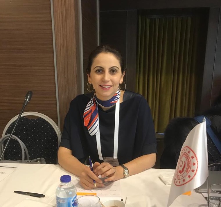 Necmettin Erbakan Üniversitesi